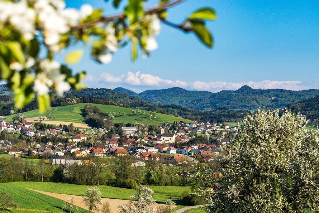 Aktuelles | Oberndorf an der Melk